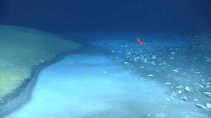 The Unique Features of Hypersaline Habitats – The Liquid Earth
