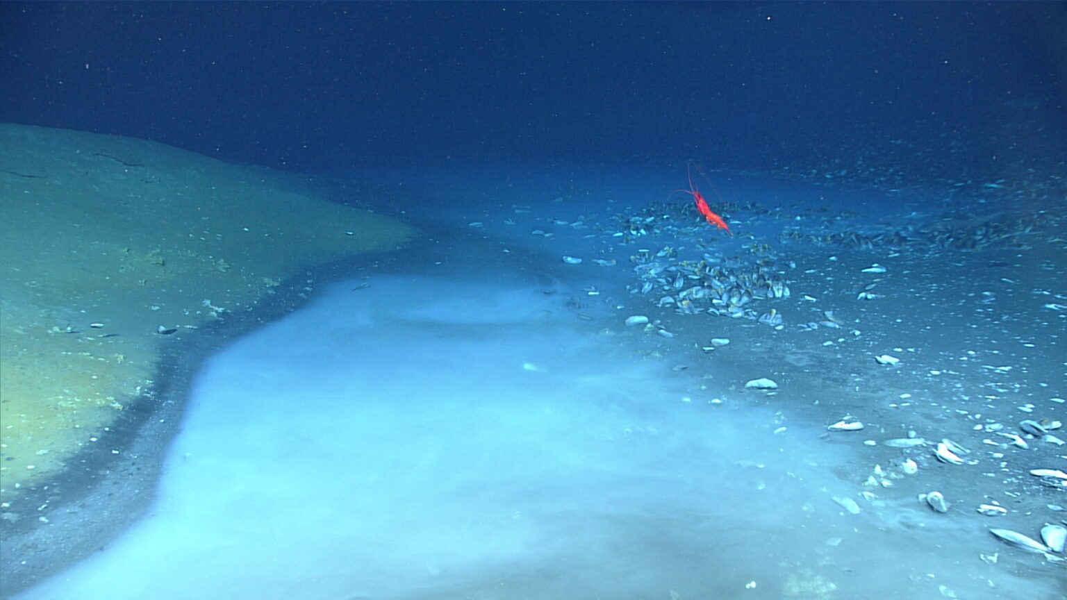 The Unique Features of Hypersaline Habitats – The Liquid Earth
