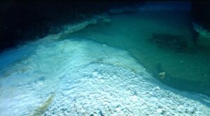 Underwater Lakes of Death — What is a brine pool? – The Liquid Earth